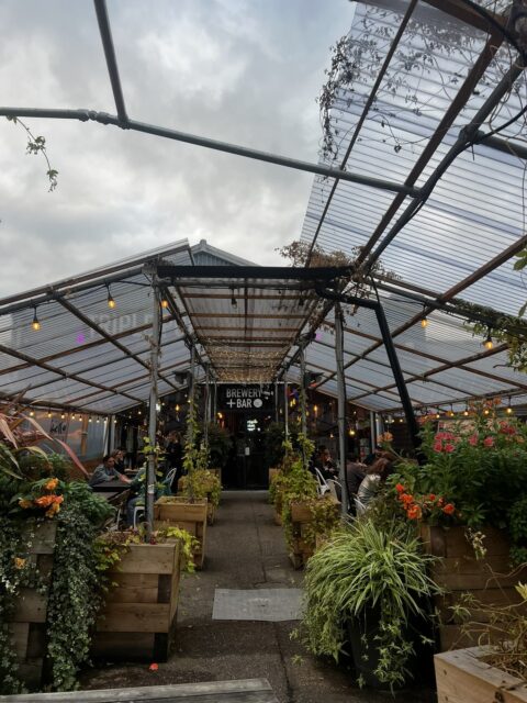 Study reveals Sheffield’s impressive independent alcoholic drinks scene ...