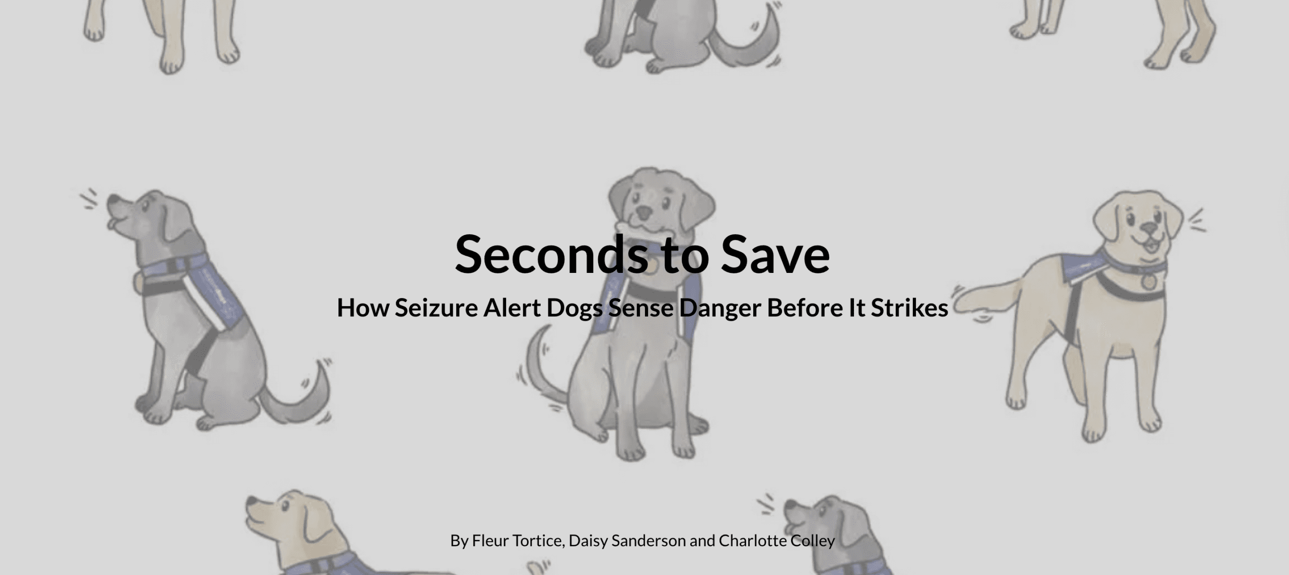 Seconds to Save: How Seizure Alert Dogs Sense Danger Before it Strikes ...